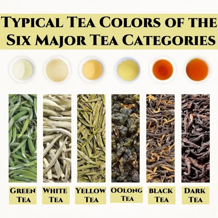 Ultimate Guide to Kinds of Tea: Types, Benefits & Brewing Methods (2025 ...