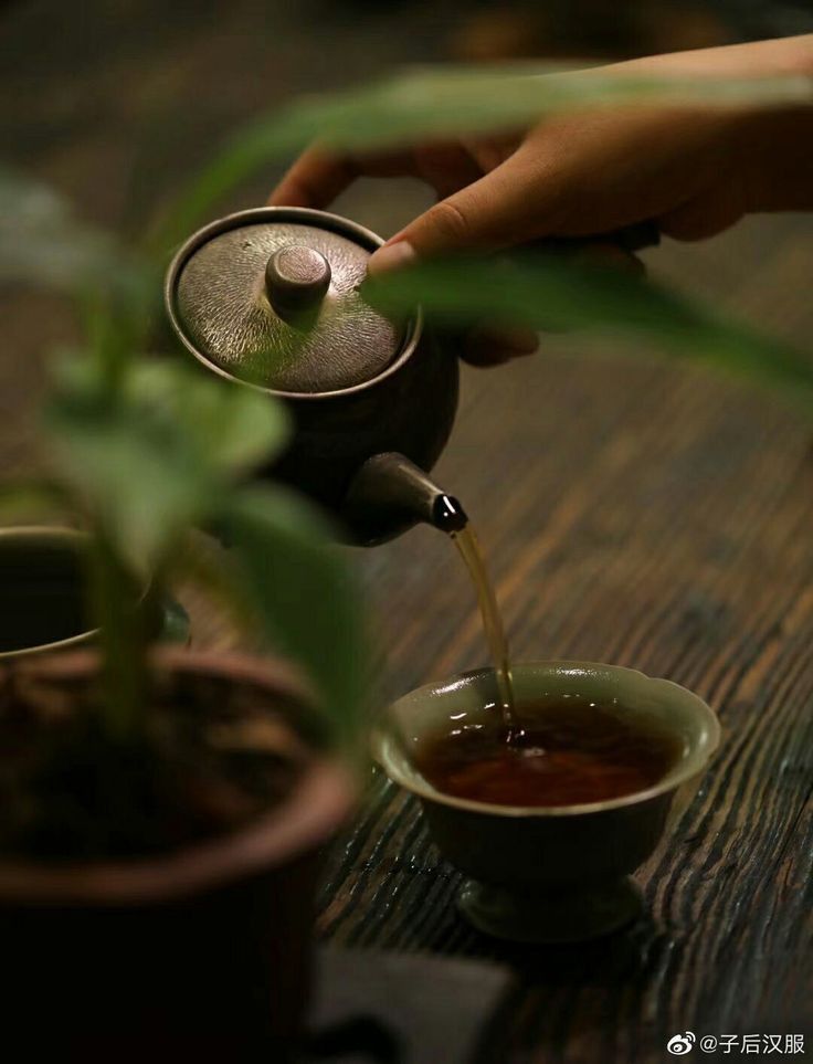 China Tea: The Ultimate Guide to History, Types, Culture & Brewing ...